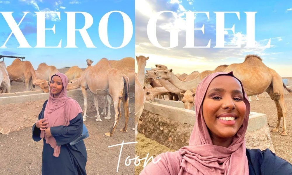 Xeer Ciise earns UNESCO Heritage status: A victory for Somali-Issa ...
